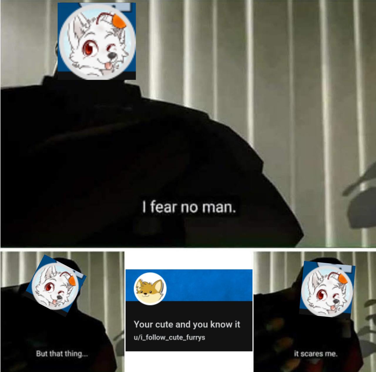 Terror_irl | Scrolller