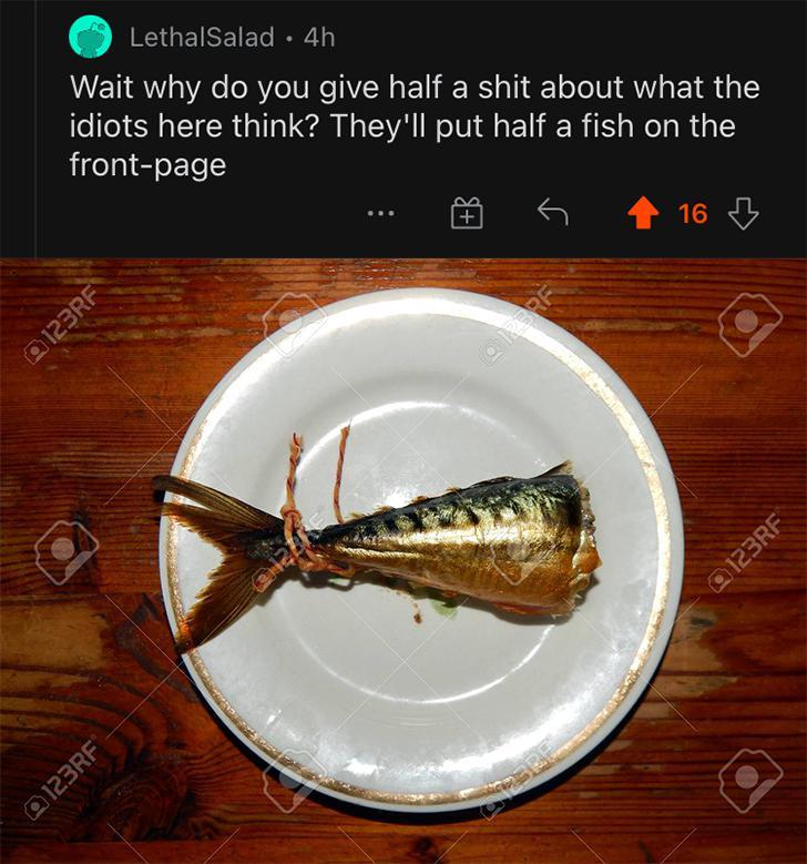 Testing Something Rule Scrolller