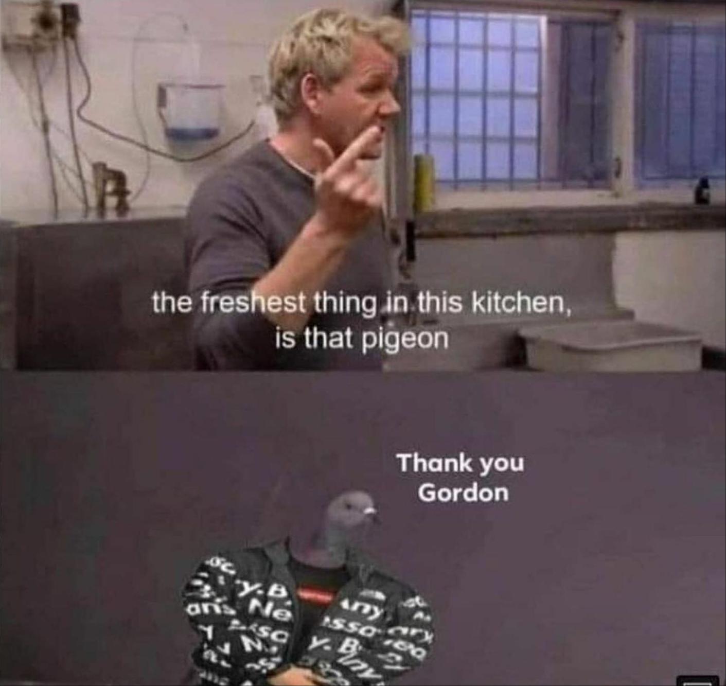 Thank you Gordon | Scrolller