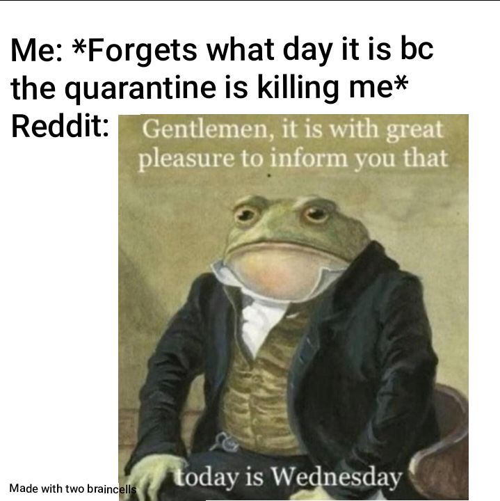 Thank you Reddit! | Scrolller