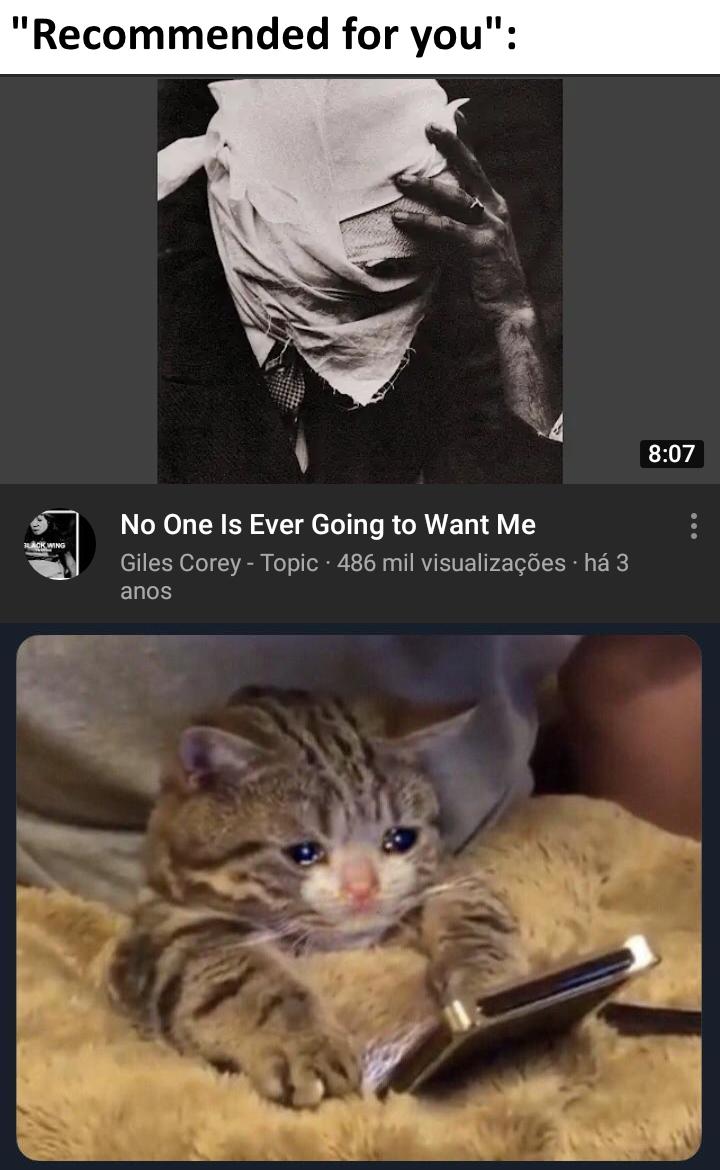 Thank you, Youtube algorithm. Very cool. | Scrolller