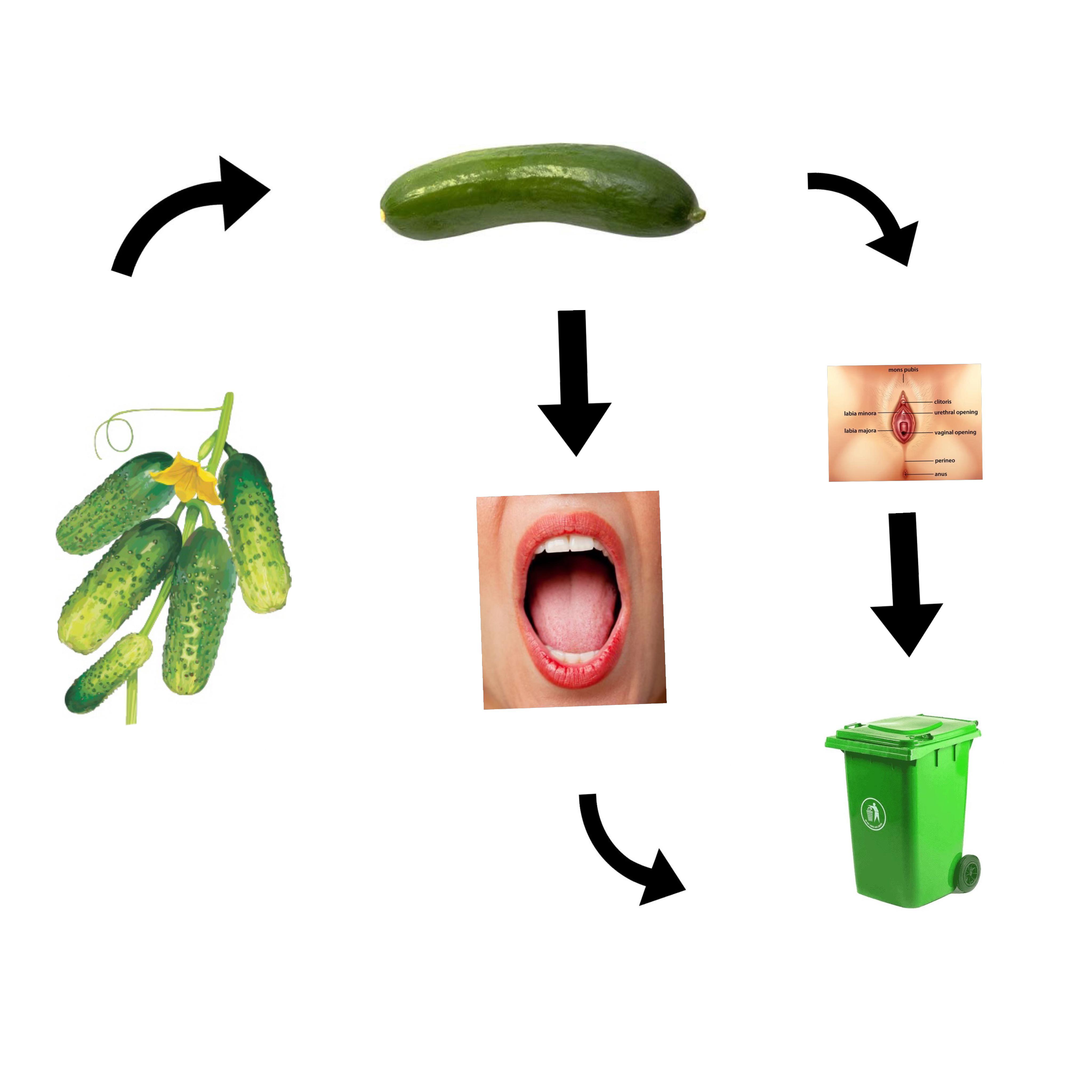 Thanks I Hate it, the life cycle of a cucumber | Scrolller