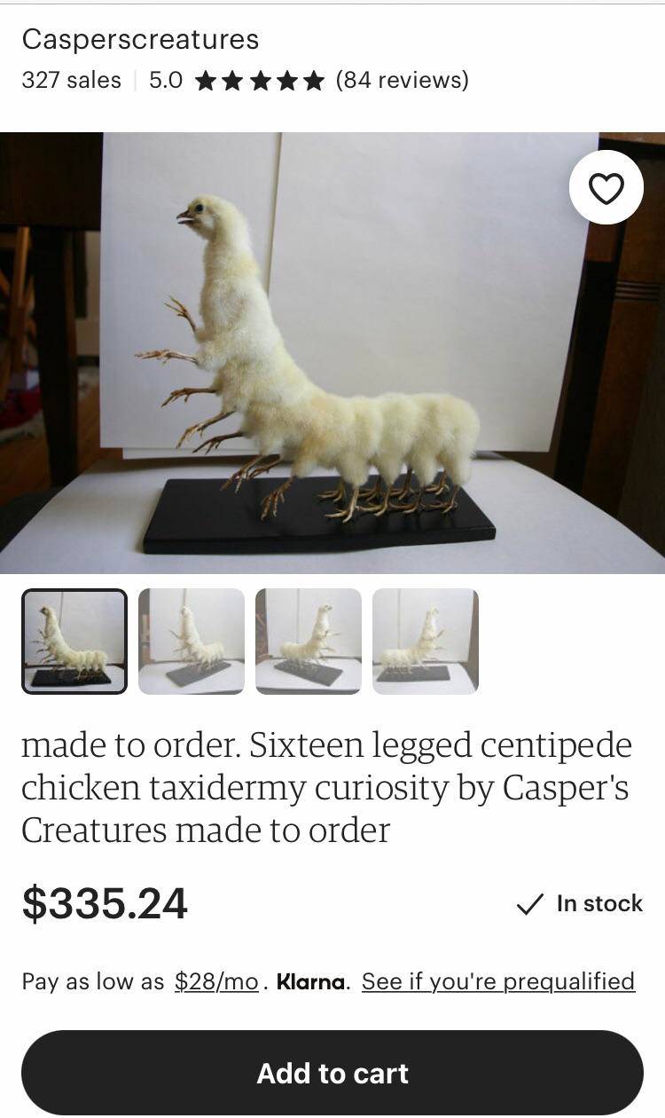 Thanks, I hate the chicken centipede | Scrolller