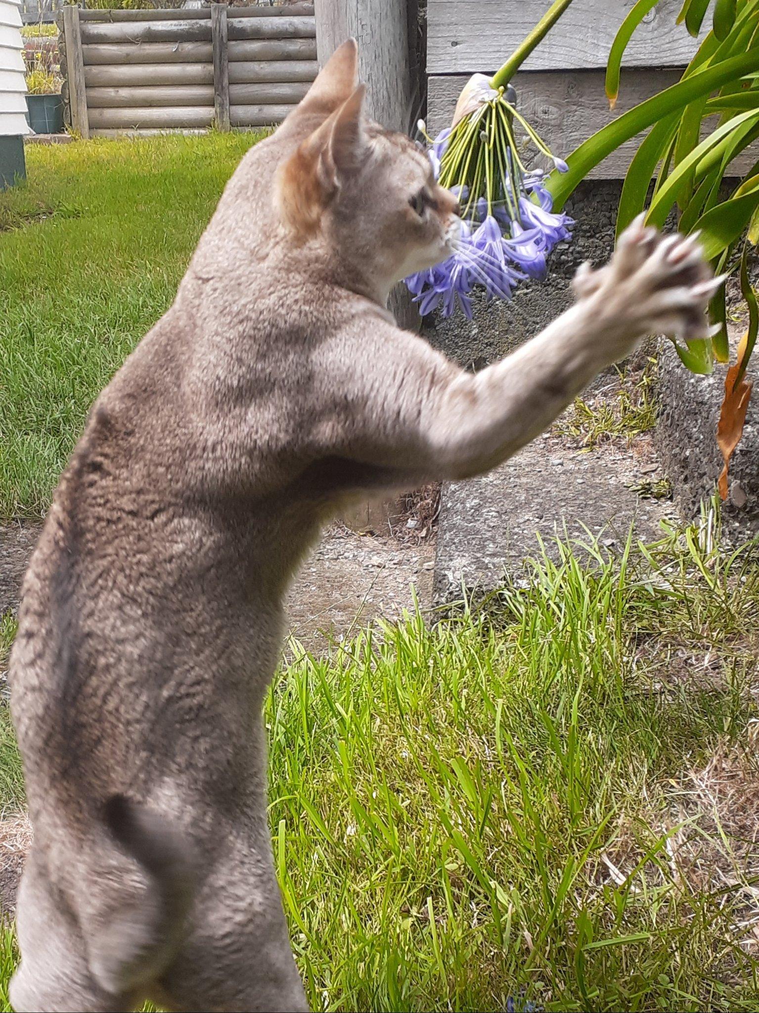 That claw! | Scrolller