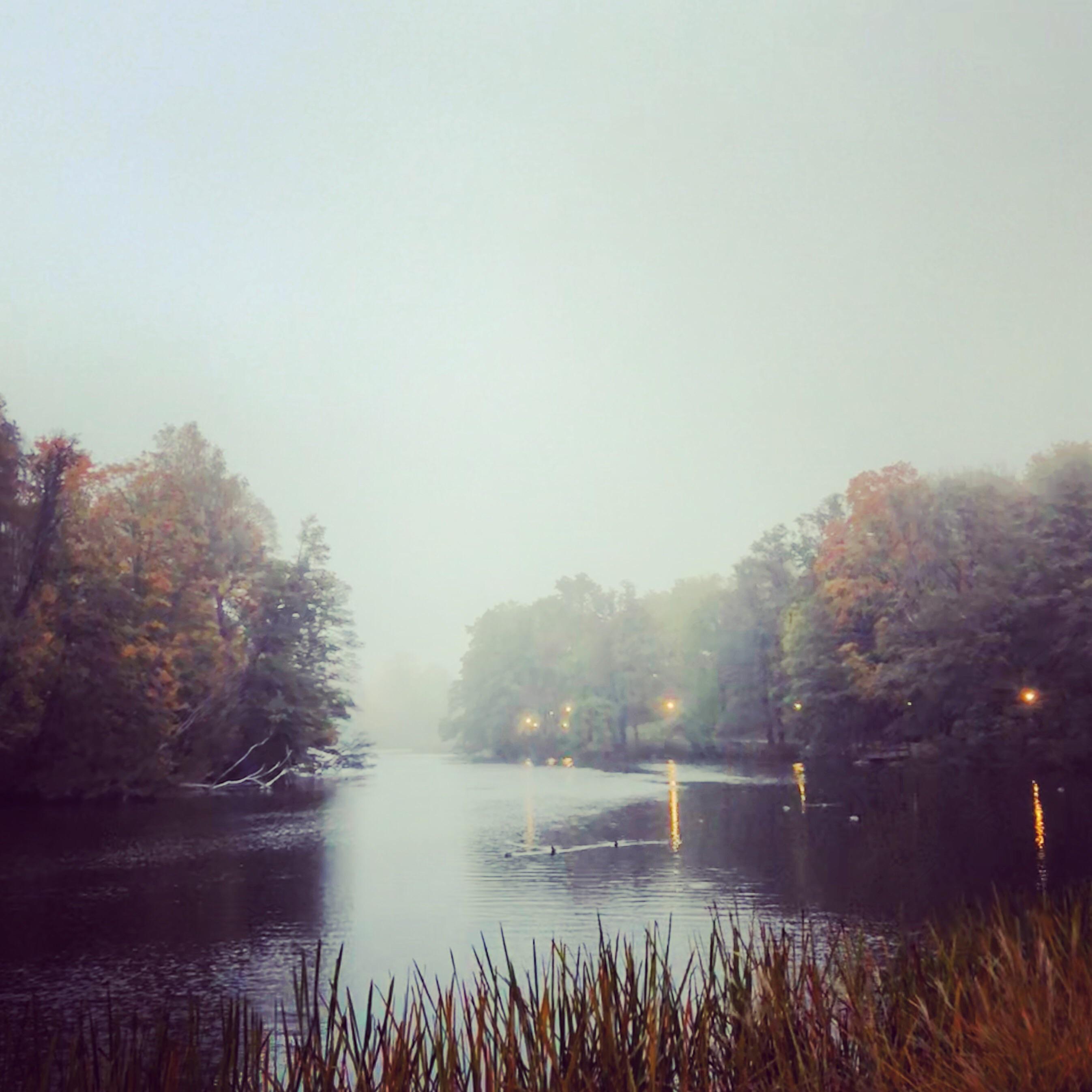 That fall [OC] | Scrolller