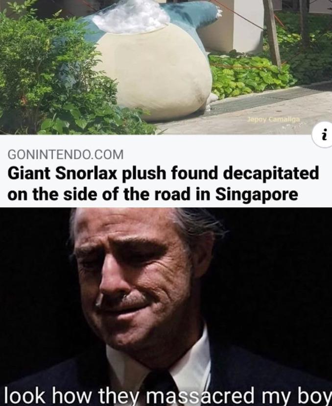 That poor chonk. :( | Scrolller