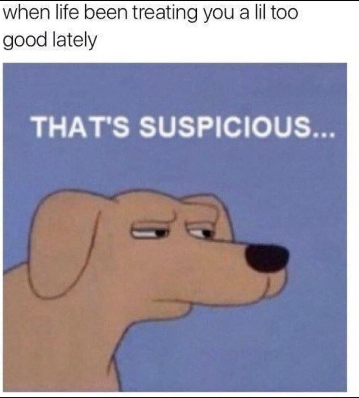 That’s suspicious... | Scrolller