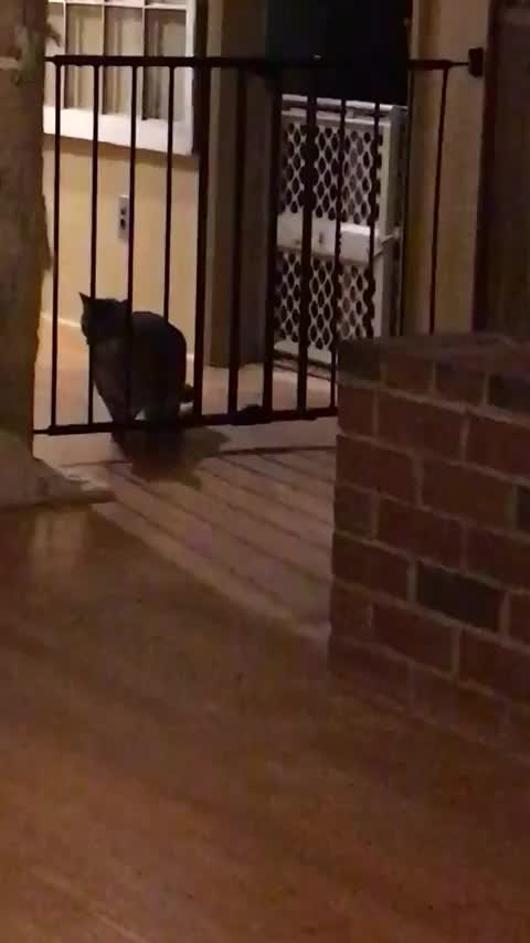 That was close | Scrolller