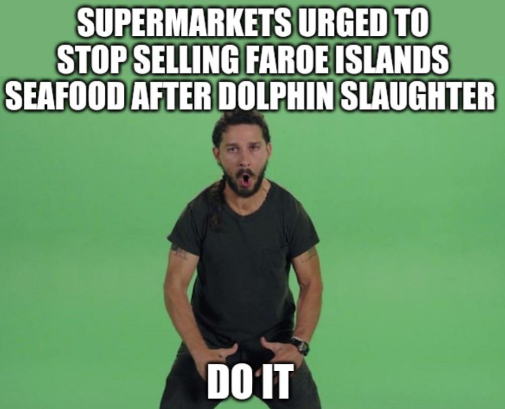 That's a good start | Scrolller