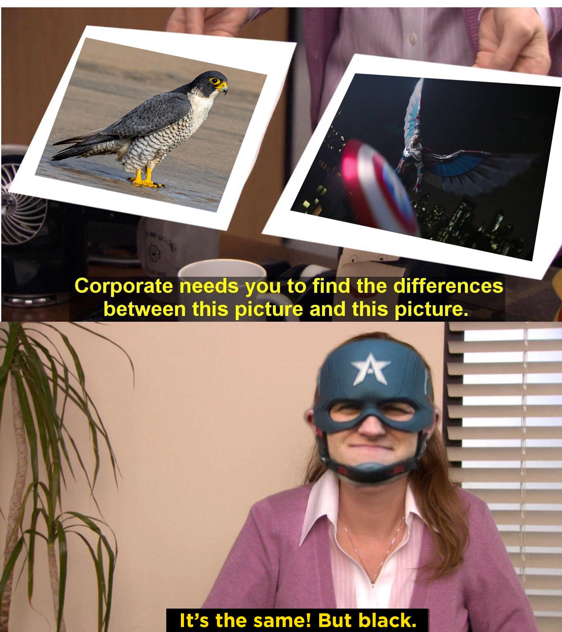 That's Black Falcon! | Scrolller