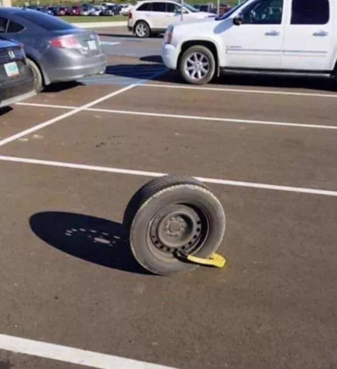 That's dedication | Scrolller