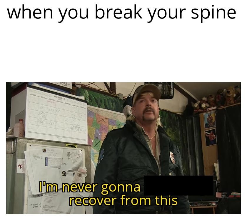 That's gotta hurt | Scrolller