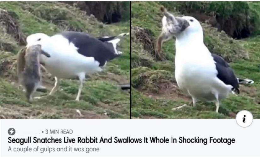 That's its pilot | Scrolller