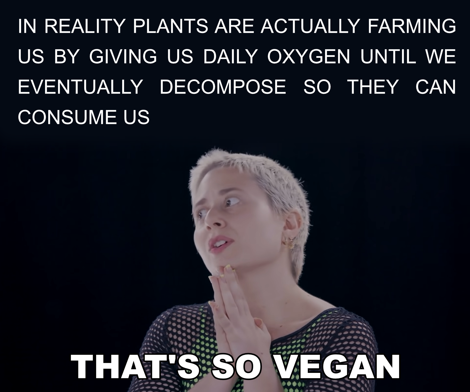 That's so vegan | Scrolller