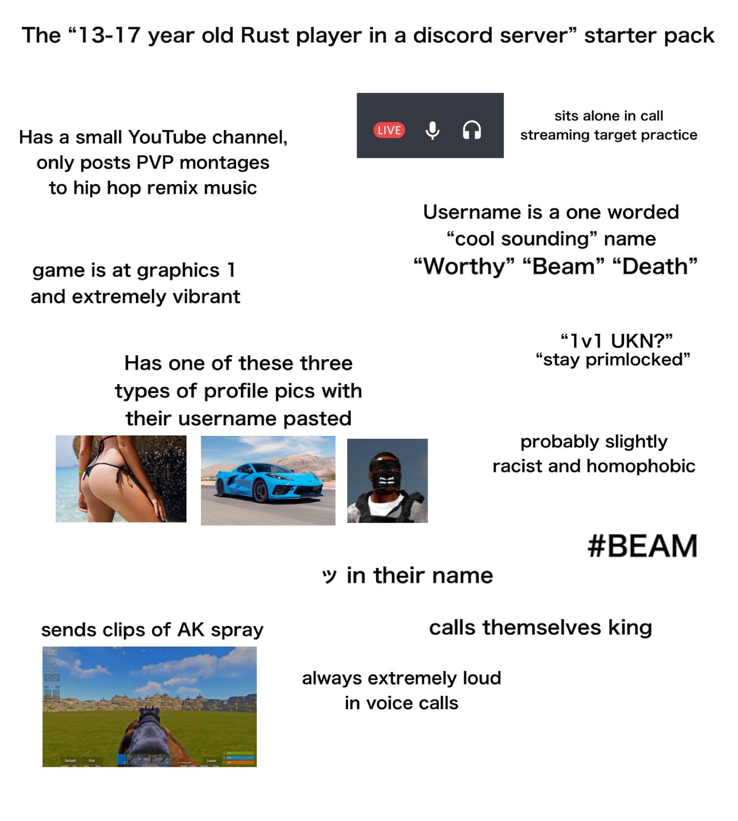 The “13-17 year old Rust player in a discord server” starter pack | Scrolller