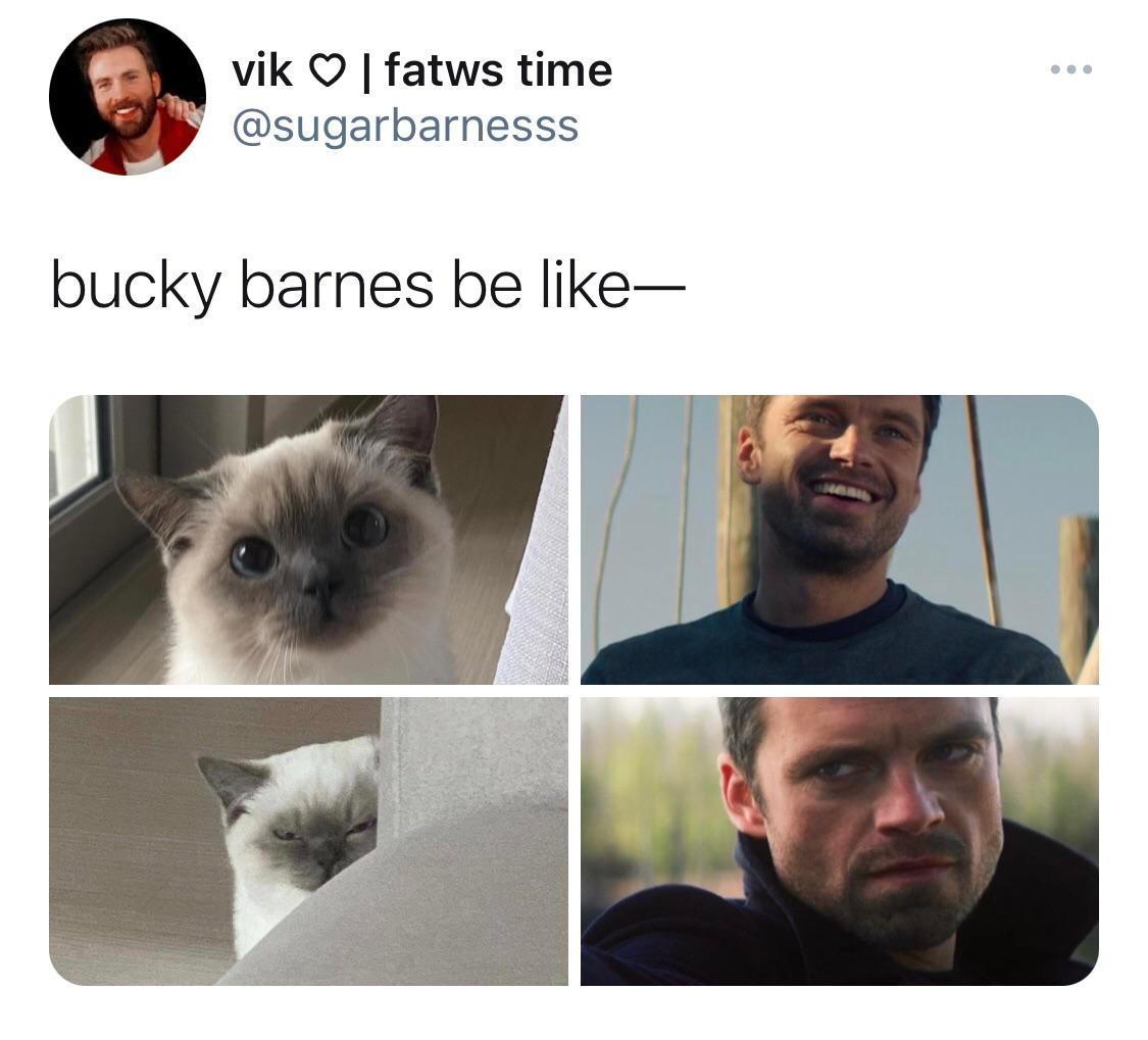 The accuracy | Scrolller