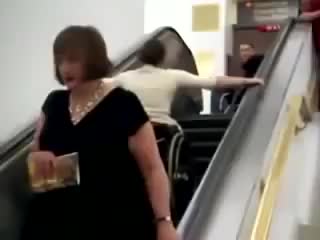 The amazing mall shrimp | Scrolller