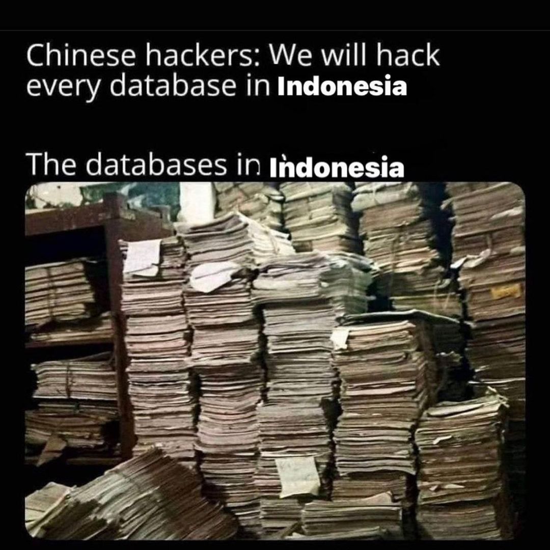 The Archive Database | Scrolller