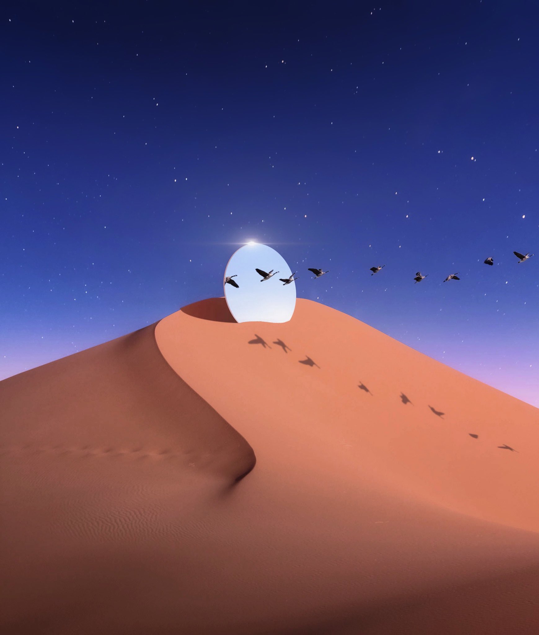 The Arrival by Ronald Ong | Scrolller