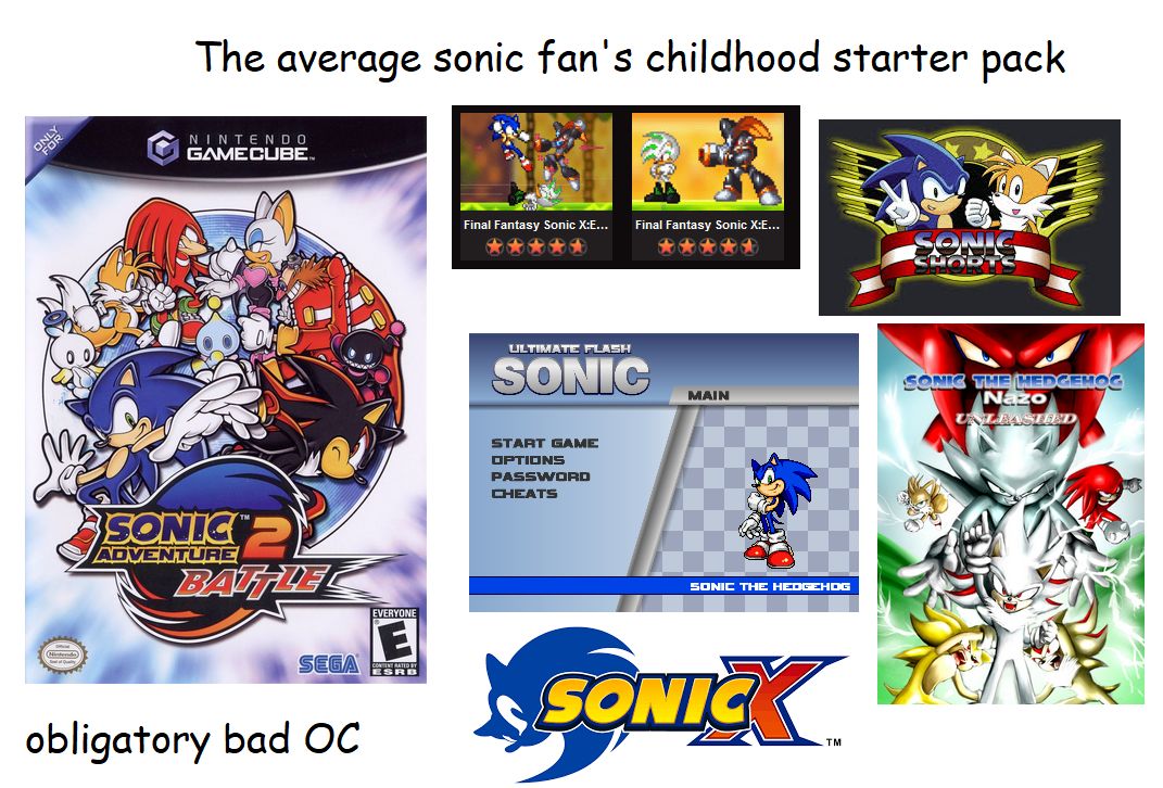 The average Sonic fan's childhood starter pack | Scrolller