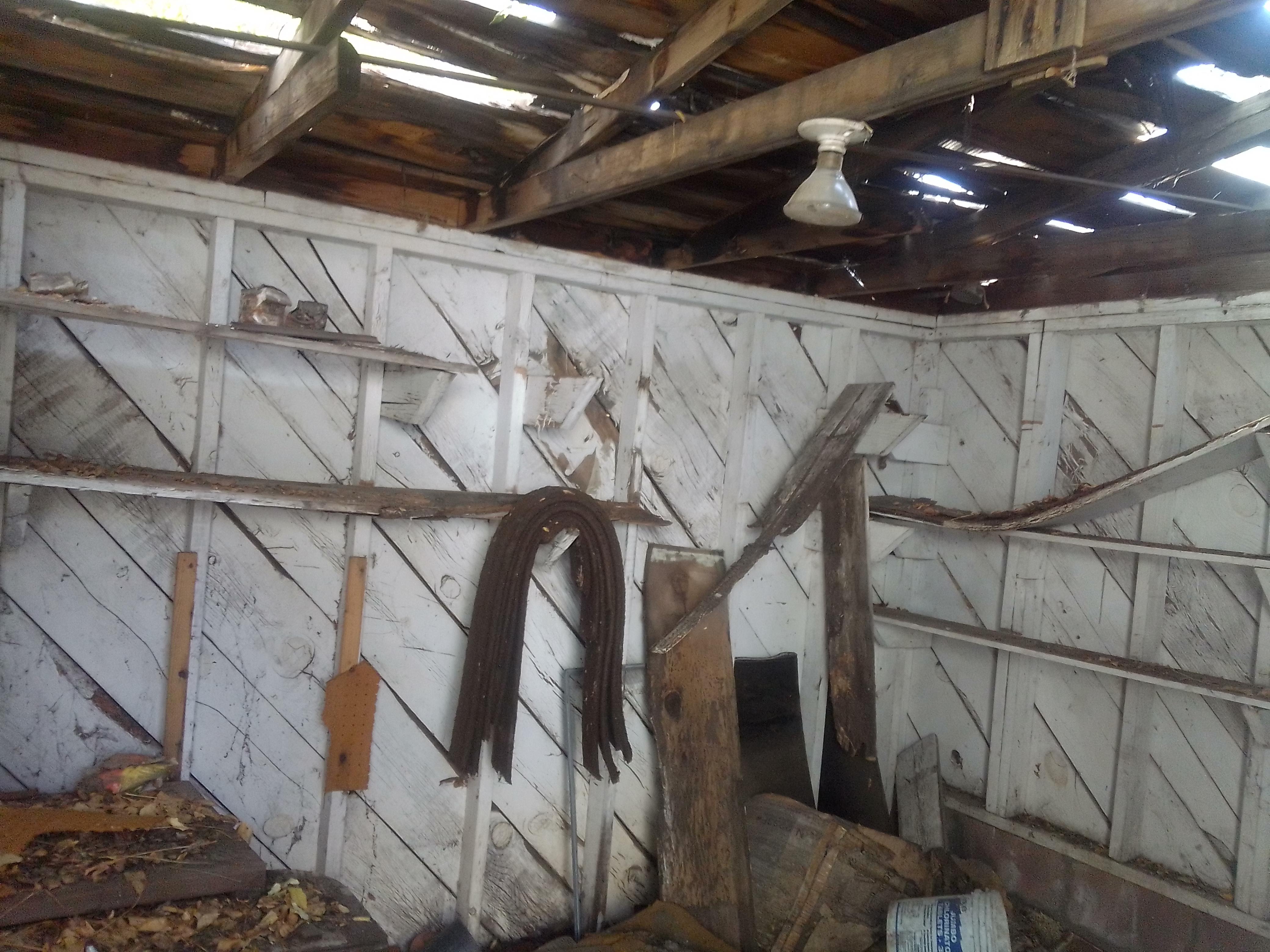 The backyard of a house in my neighborhood abandoned | Scrolller