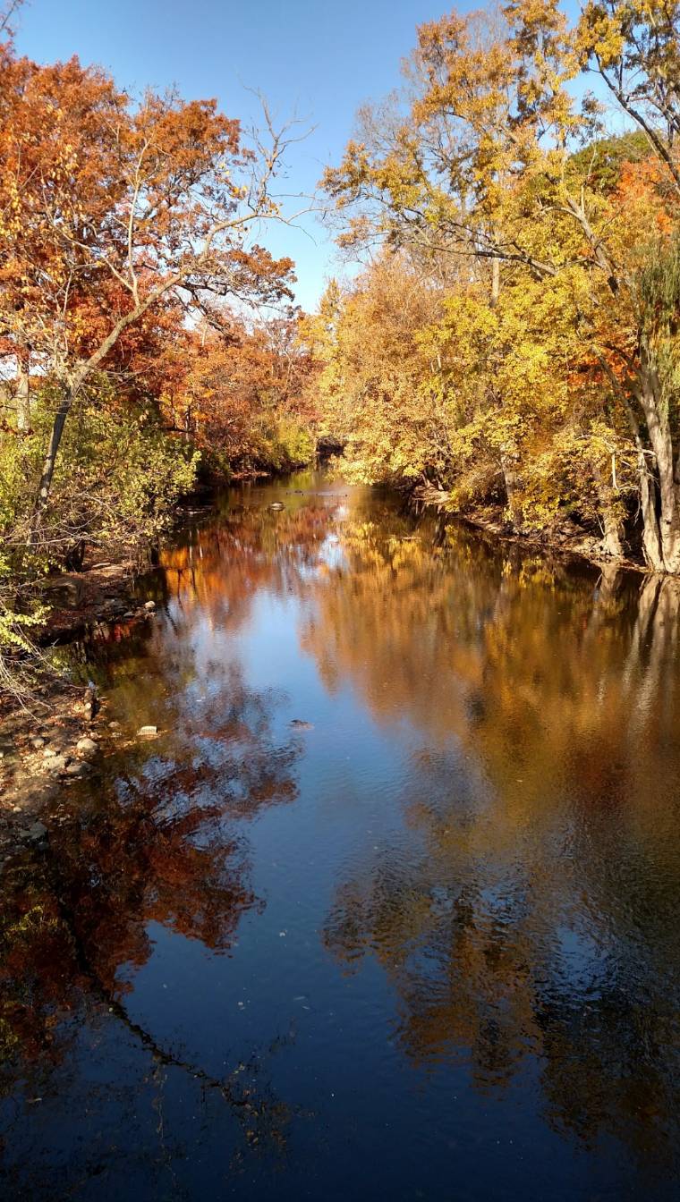 The banks of the Red Cedar | Scrolller