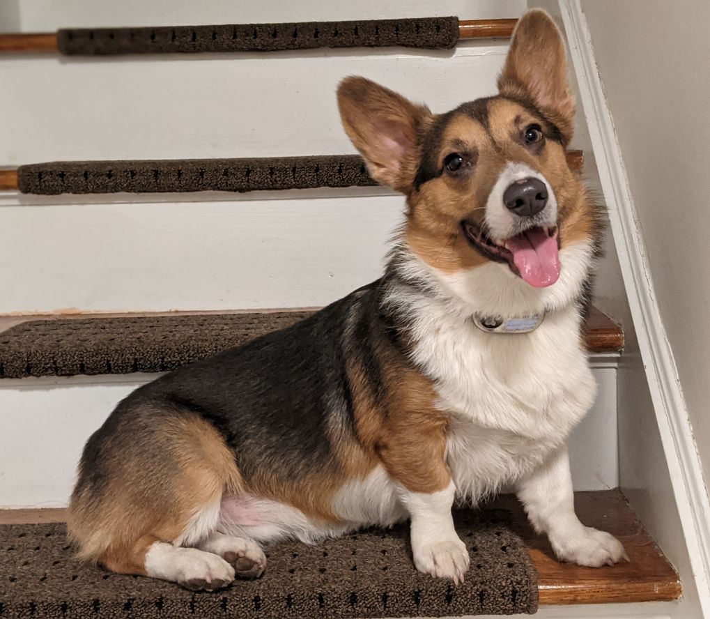 The Big Cheese(y grin) | Scrolller