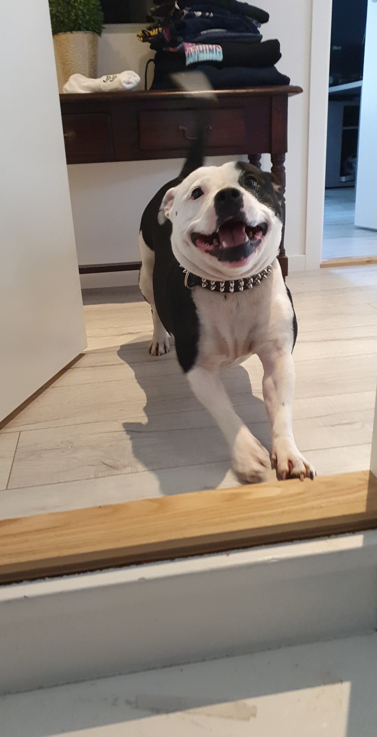 The biggest joy of returning home from 4 weeks out at sea is coming home to my best friend ...