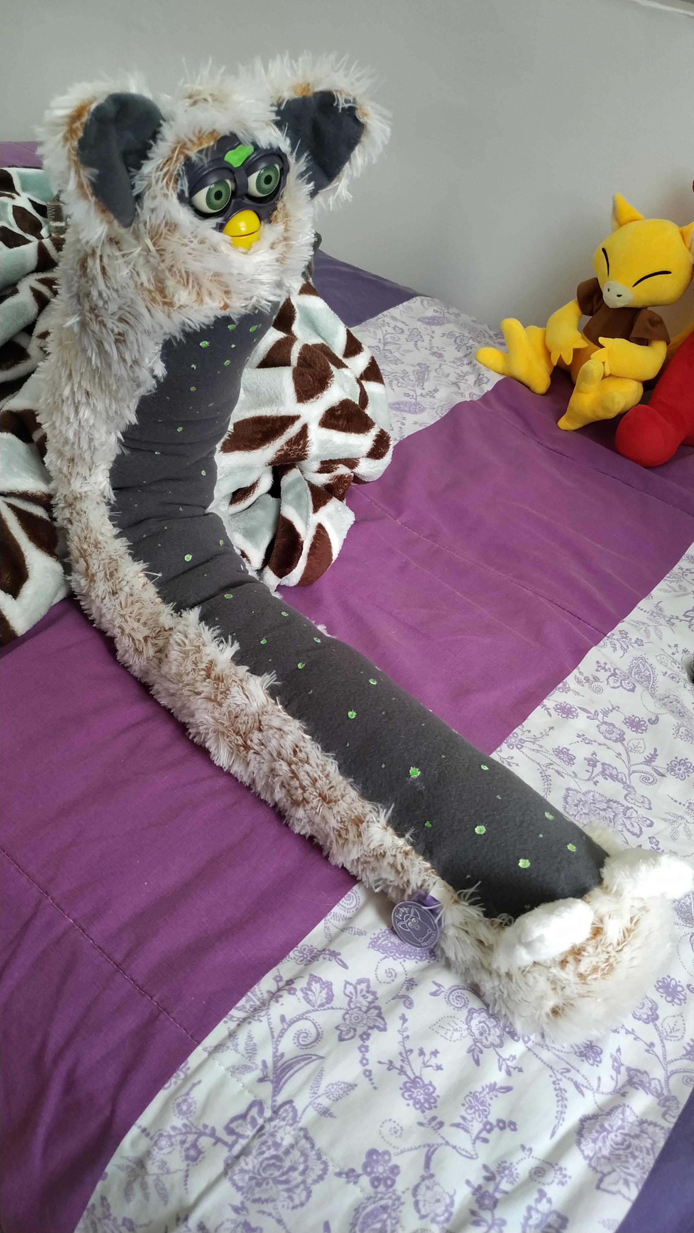 The boi just chilling | Scrolller