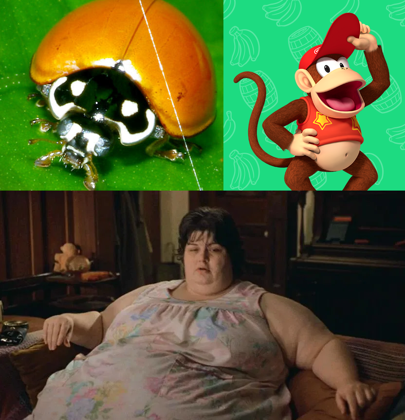 The Boys | Scrolller