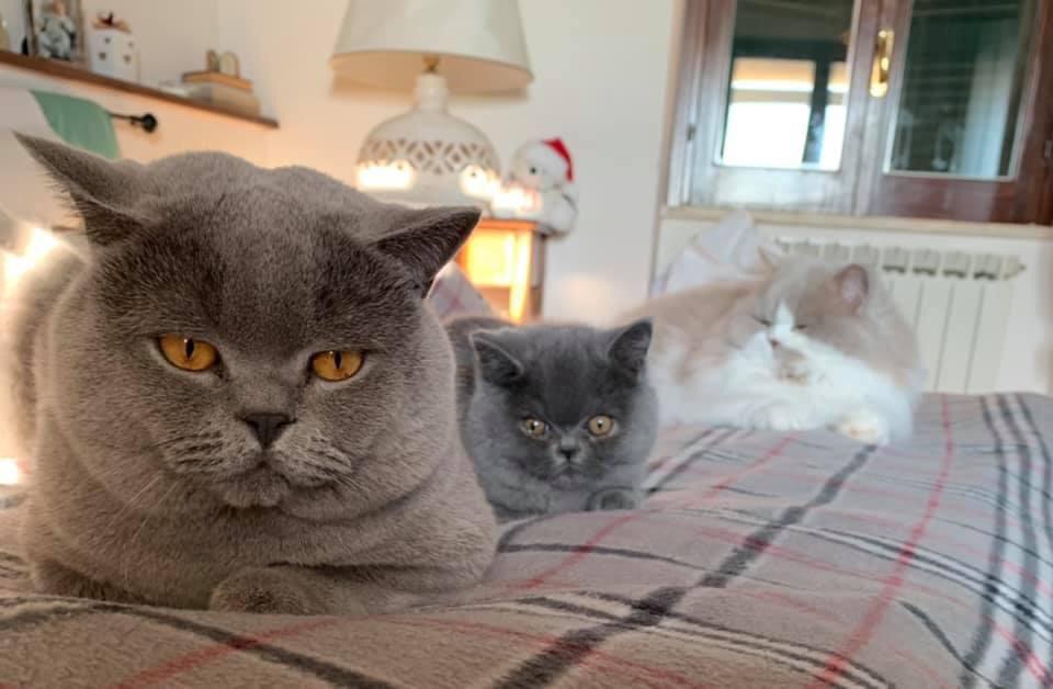 The boys | Scrolller