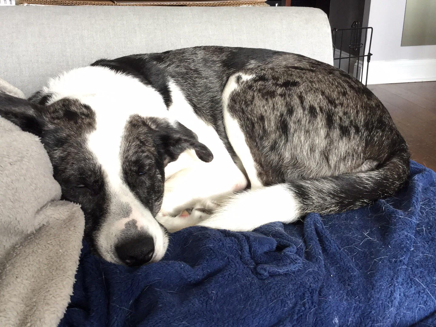 The calm before the houla. | Scrolller