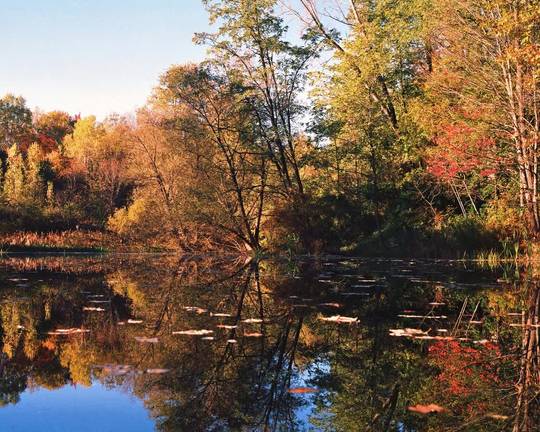 The changing of the seasons in Saratoga County... | Scrolller