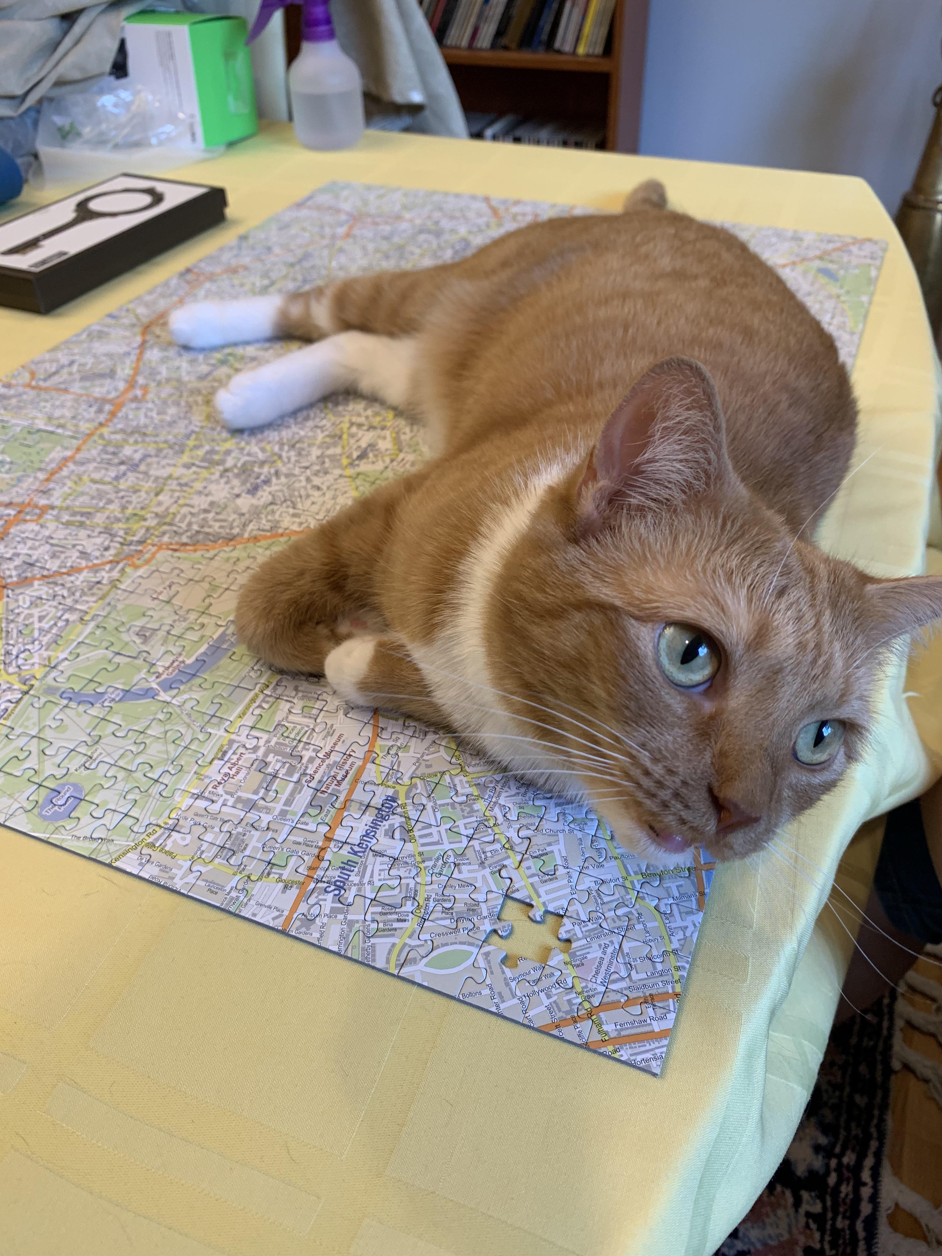 The crime and the suspect. | Scrolller