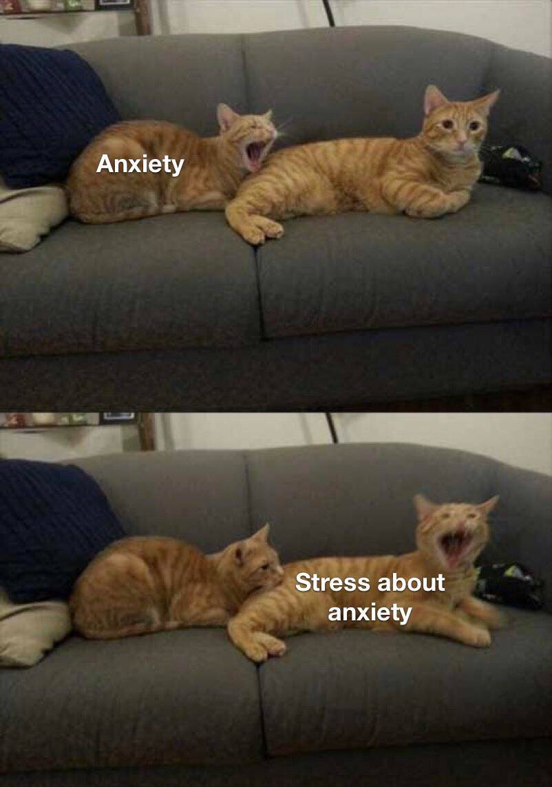 The cycle | Scrolller