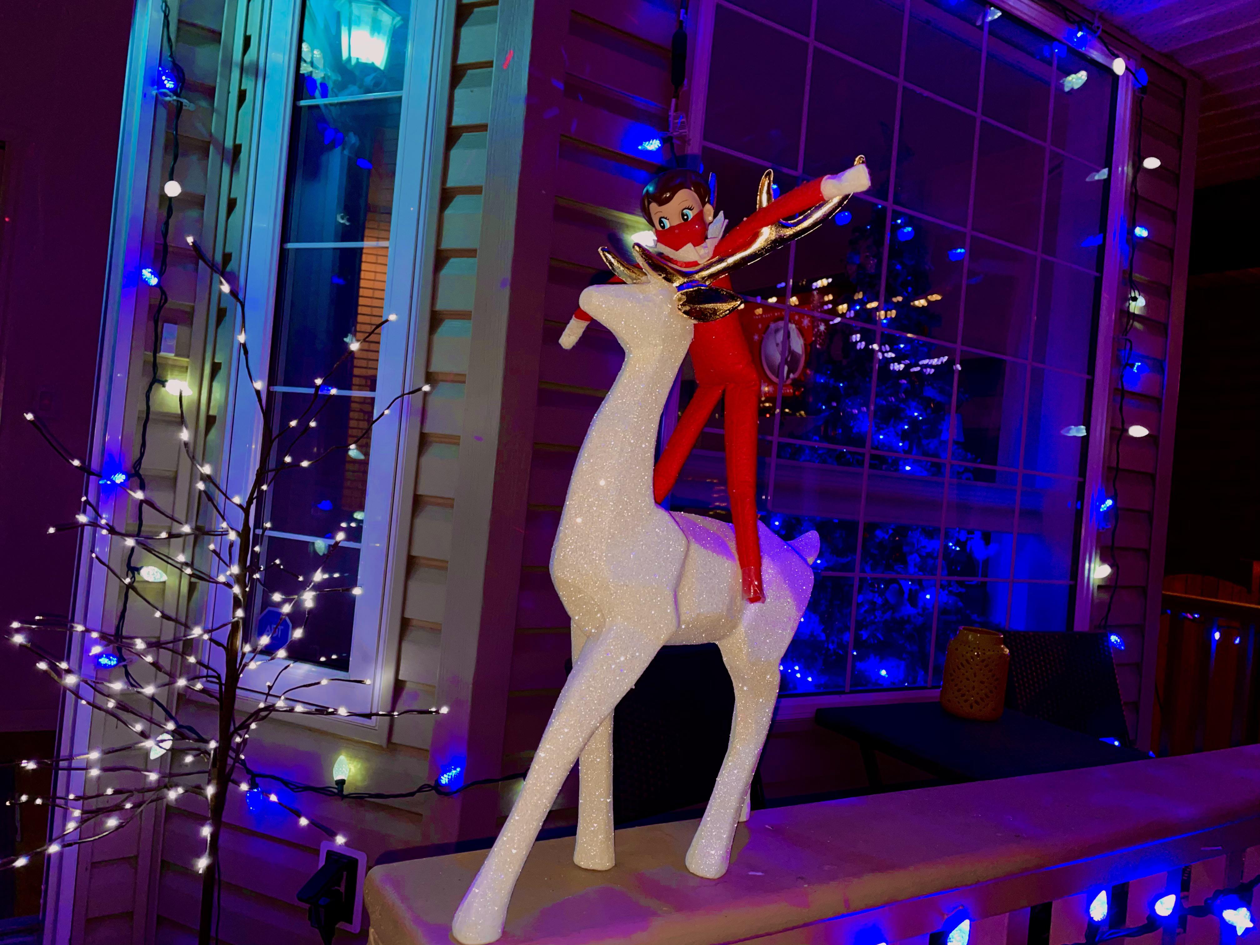 The Dang Elf Got Out Again Scrolller
