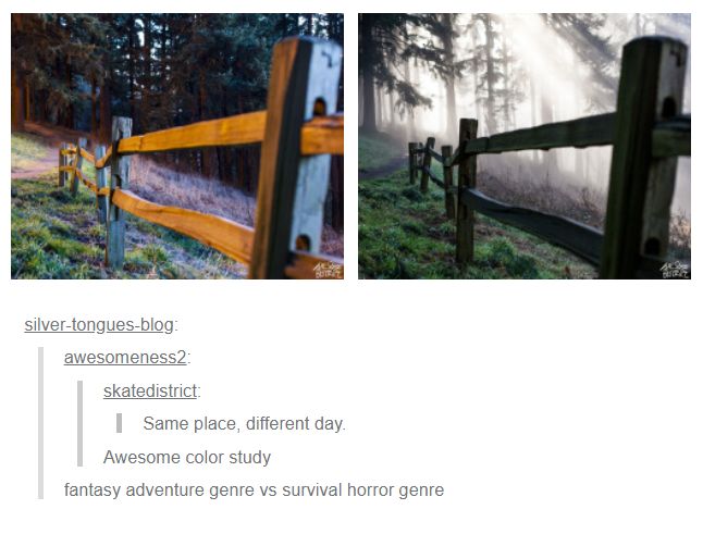 The difference that lighting can make | Scrolller