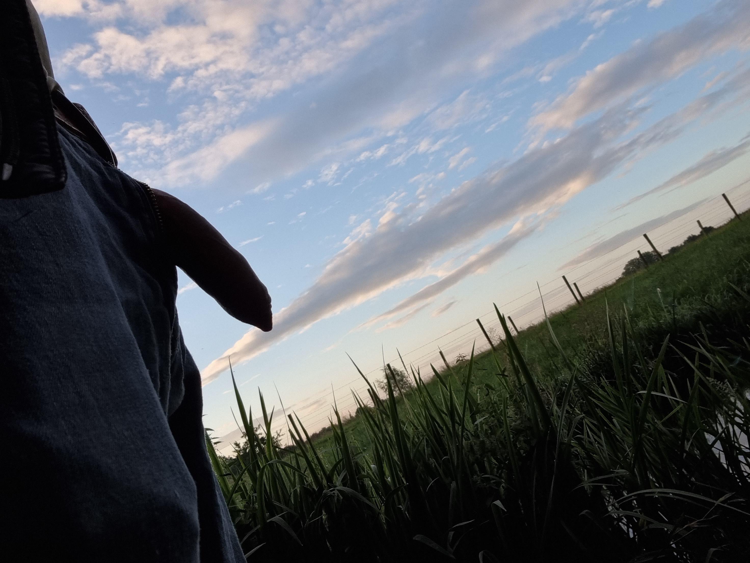 The early bird catches the worm 🤣 | Scrolller