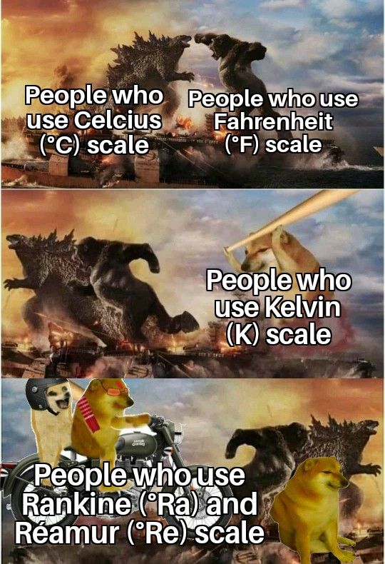 The elevated ones | Scrolller