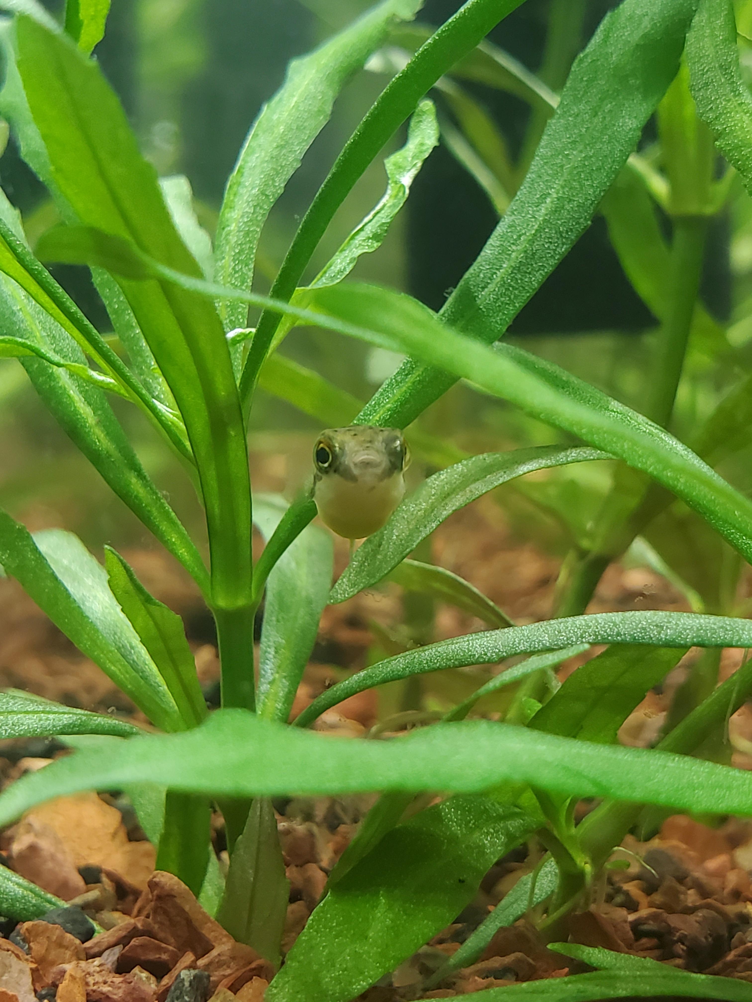 The face of a cold blooded killer | Scrolller