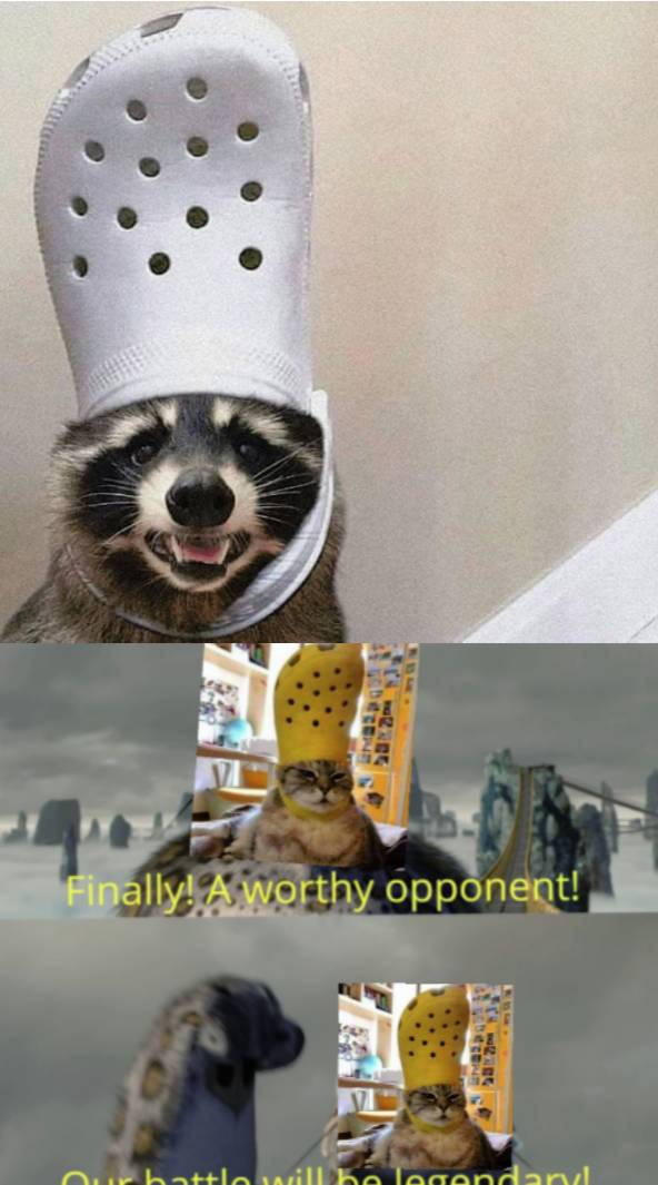 The final battle | Scrolller