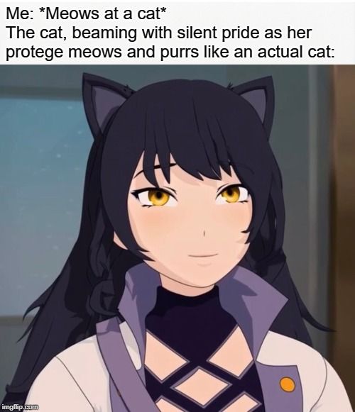 The final chapter | Scrolller