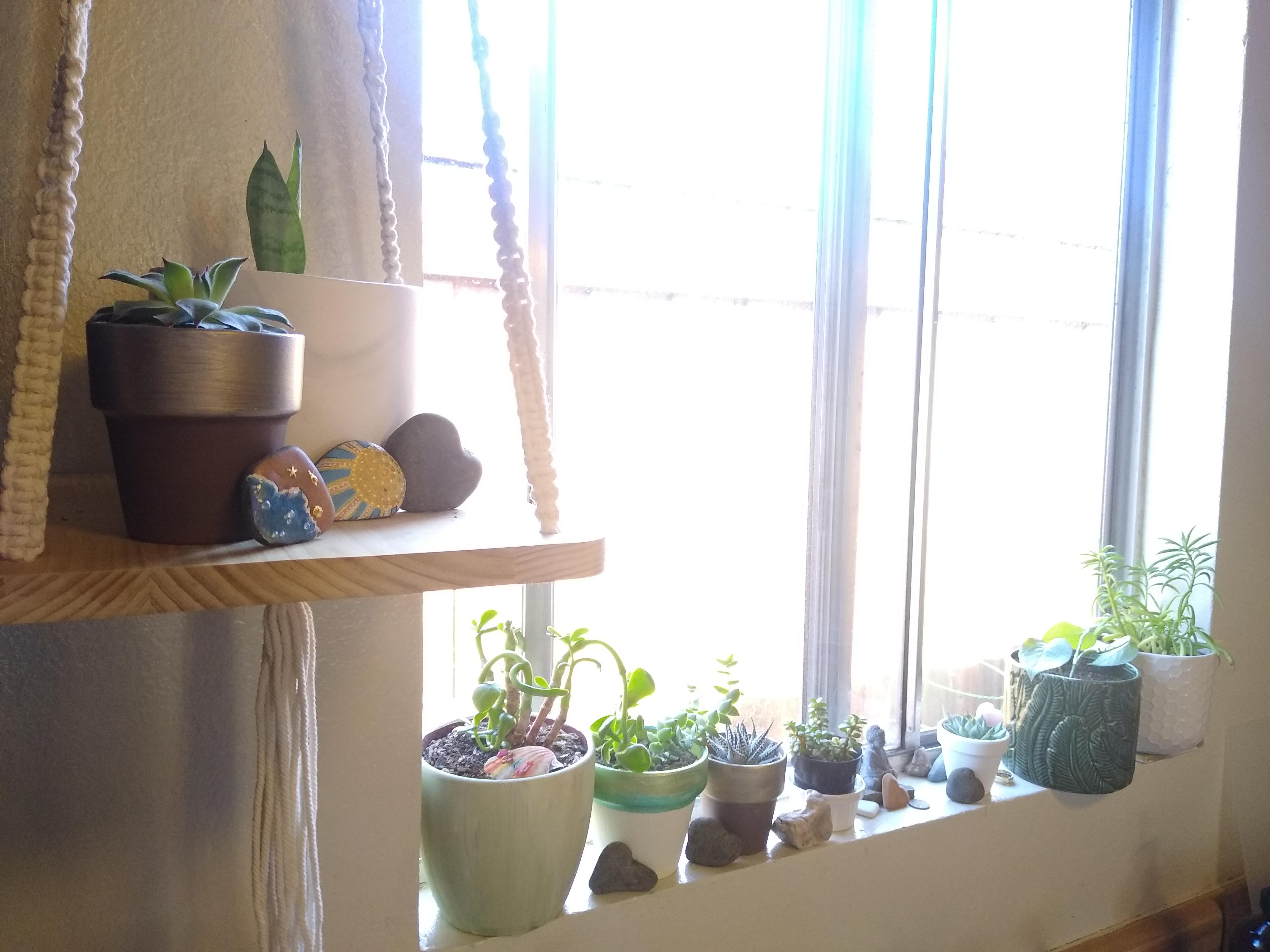 The gang | Scrolller