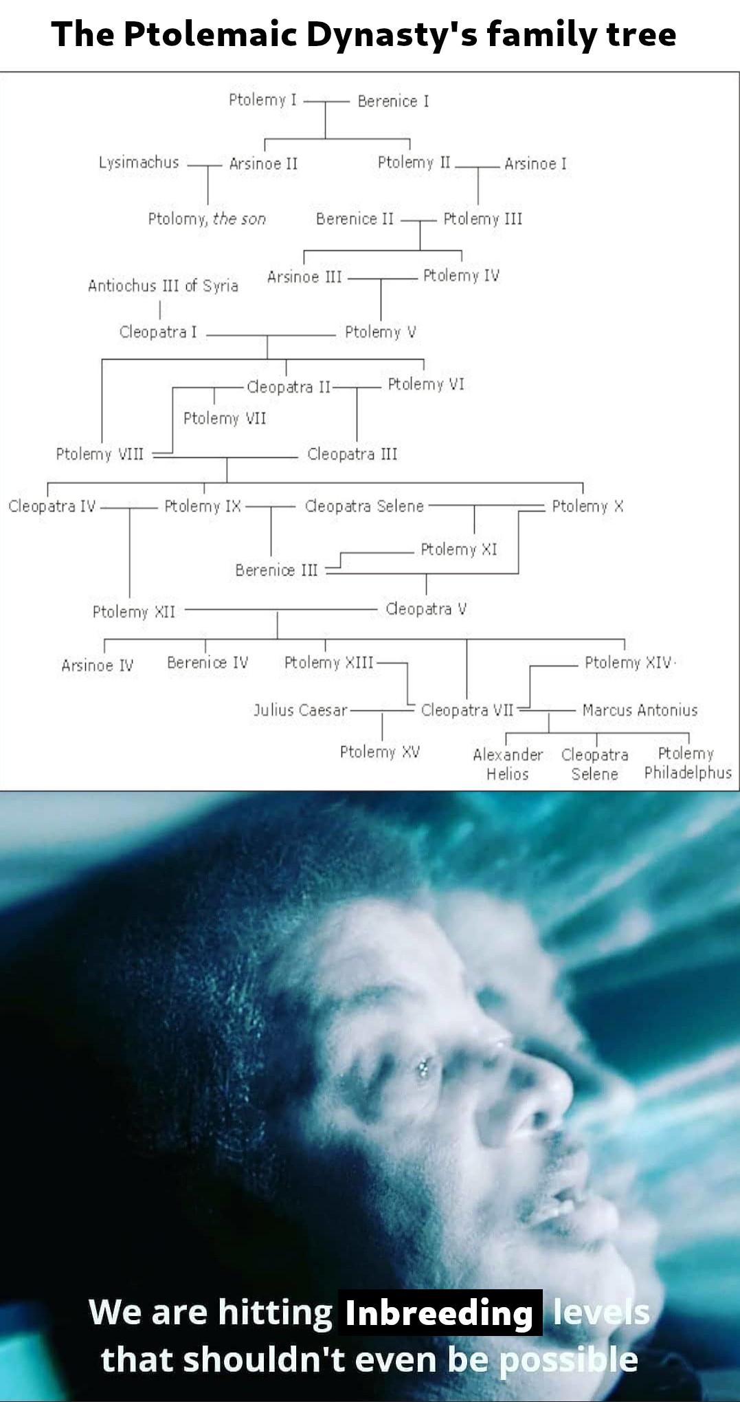 the Hapsburgs pale in comparison to how inbred these people were | Scrolller