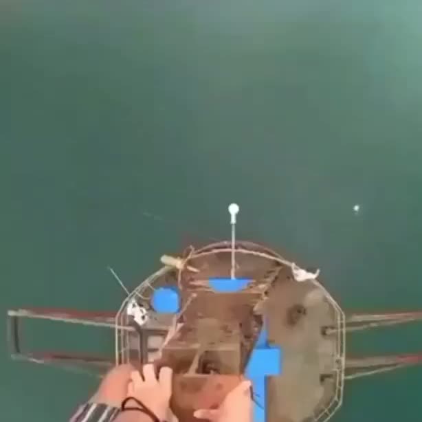 The high dive | Scrolller