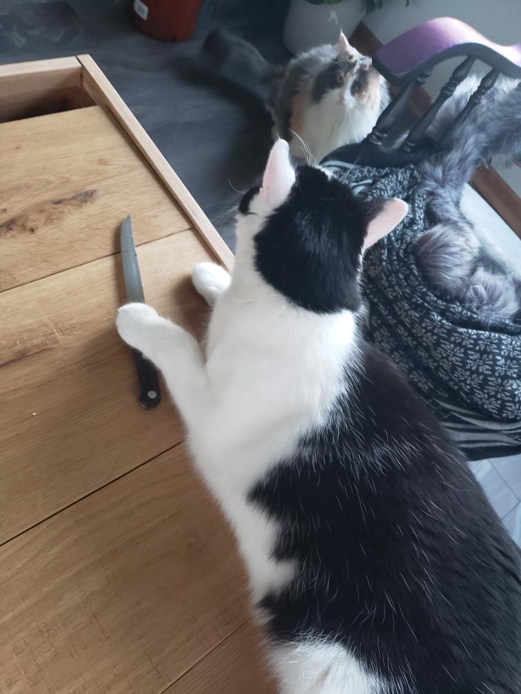 The High Ground | Scrolller