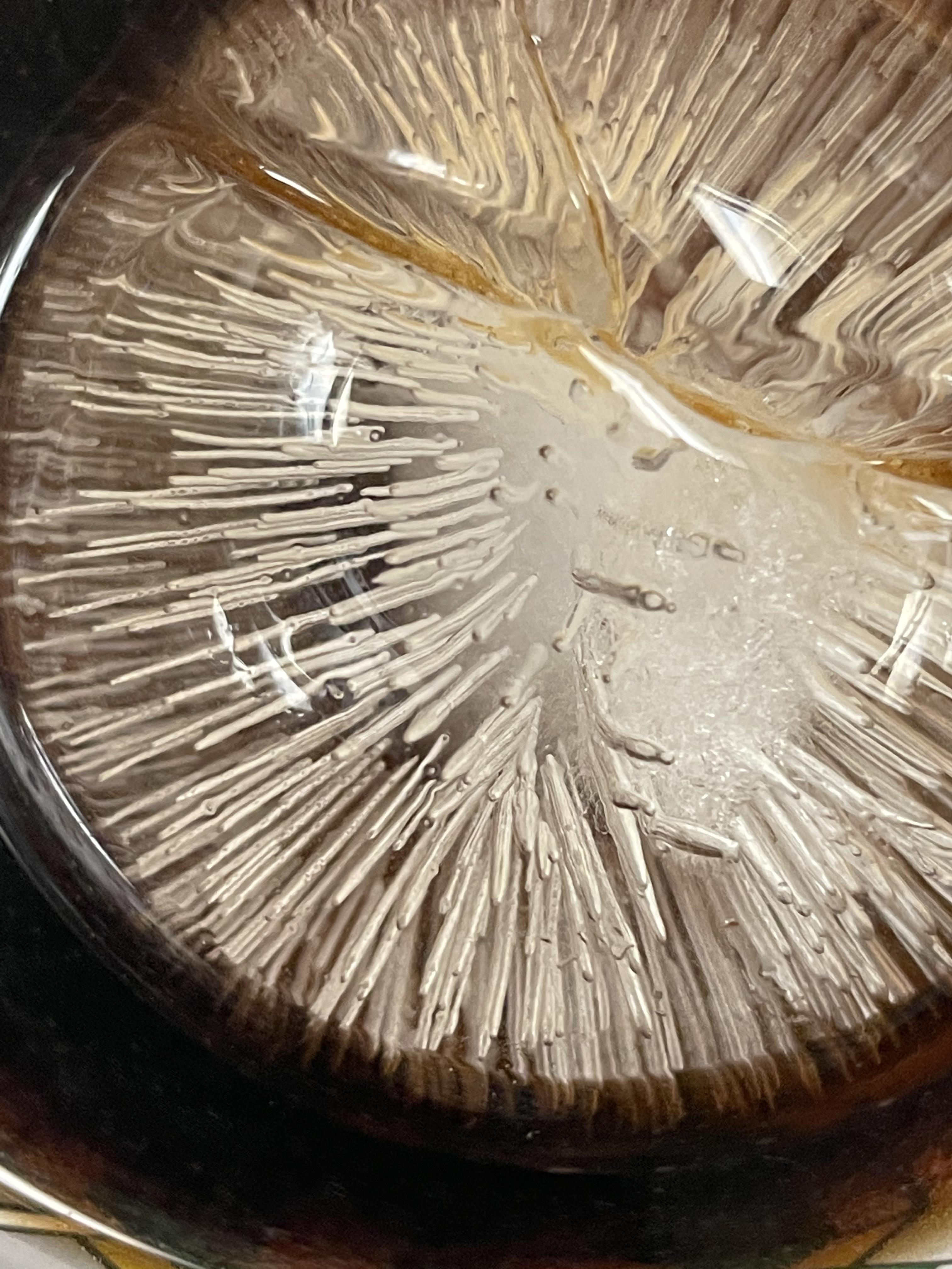 The ice cube in my soda. | Scrolller