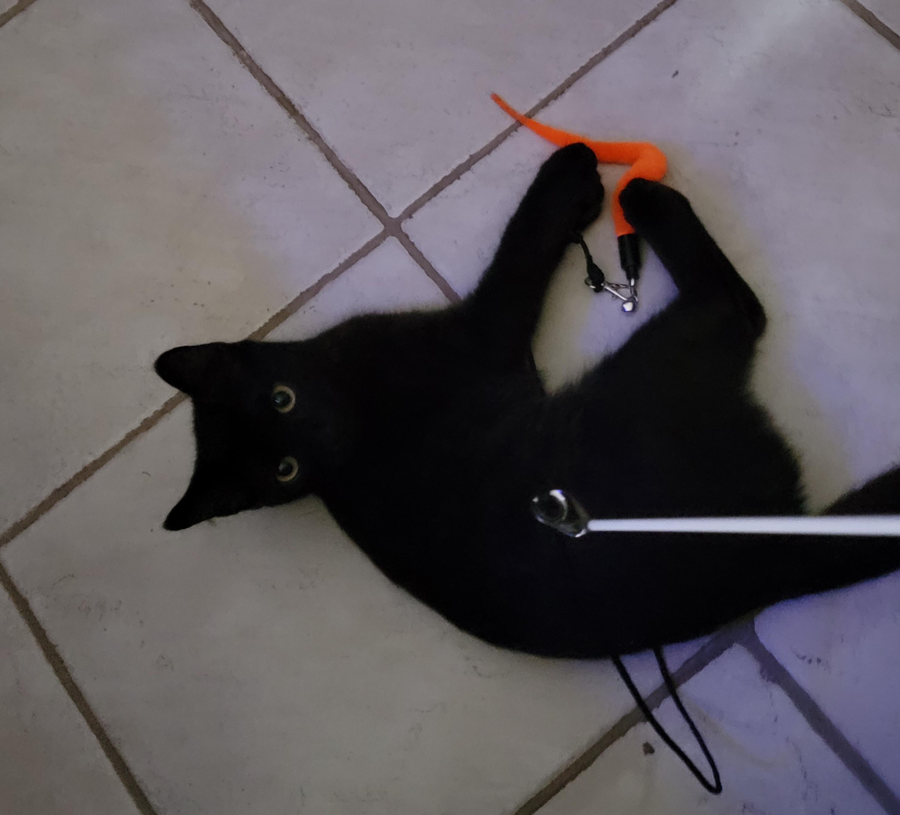 The key to void management is high contrast toys | Scrolller