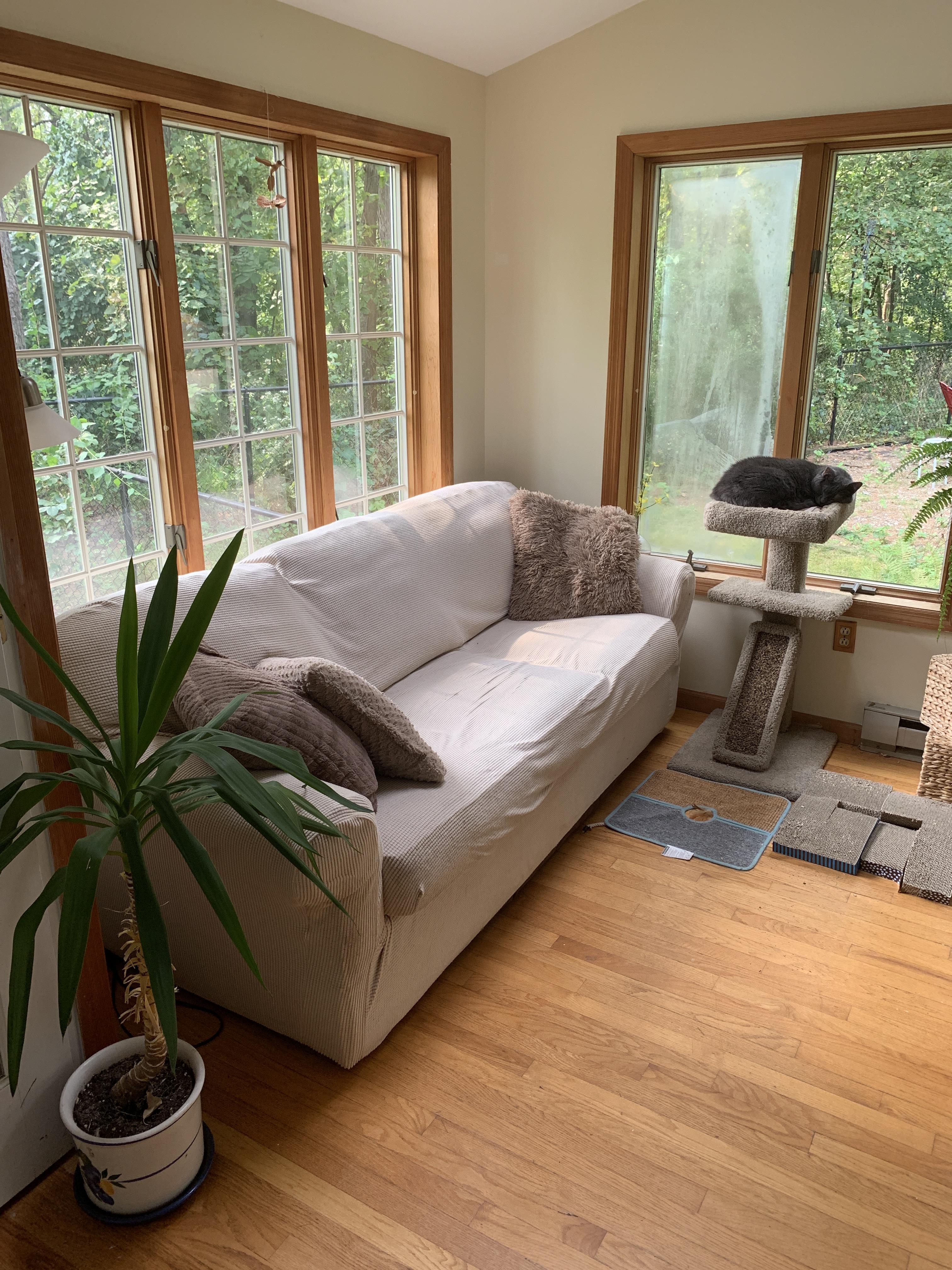 The kitty corner my mom has in the sunroom | Scrolller