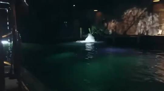 The last Jaws ride animatronic to my knowledge, from Universal Studios Japan | Scrolller